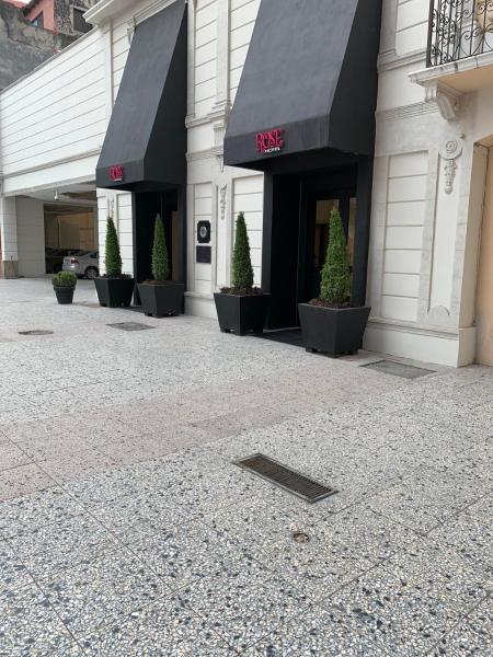 Rose Hotel - San Pedro Garza García