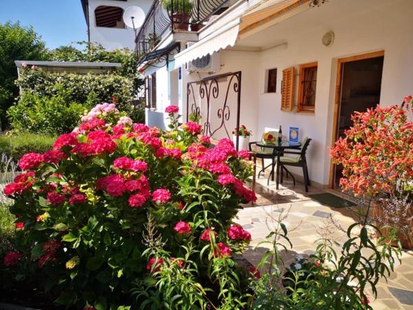 Apartmani Rita Kiwi - Istrie