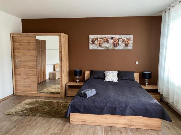 ČErný Tulipán - Apartmán 1 - Pilsen