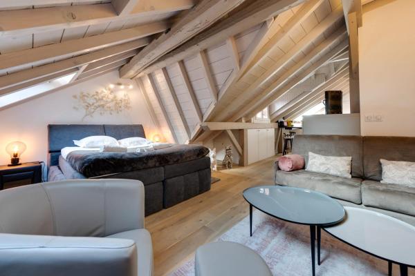 The Attic - Ideally Located In The Old Town - ibis Styles Annecy Centre Gare