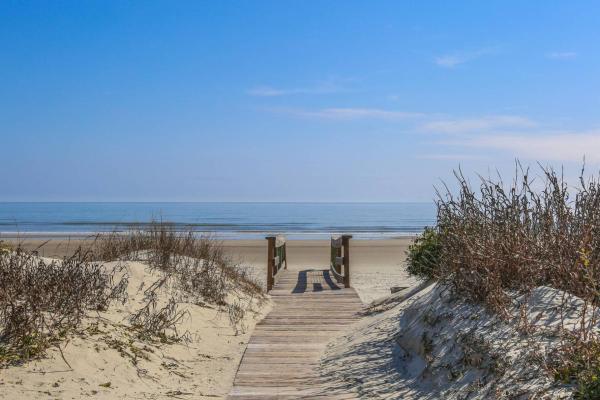 Eugenia - Kiawah Island, SC