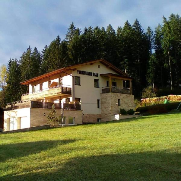 Transylvania Villa & Spa - Bad Goisern am Hallstättersee