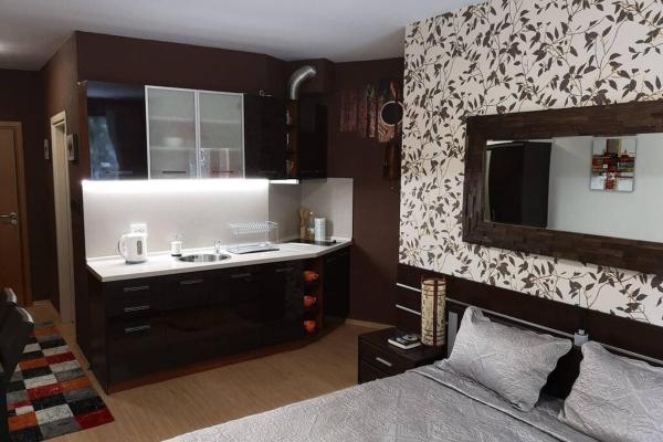 Studio 1 Iceberg Borovets - Bulgaria