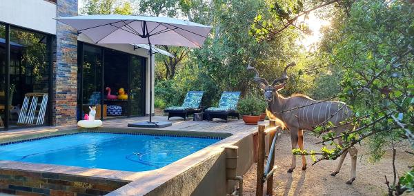 Loerie Escape - Marloth Park - Marloth Park