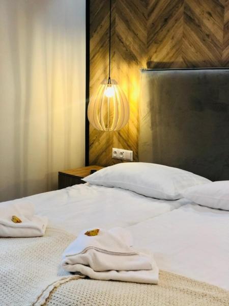 Pokoje Gościnne Cichosza - Harrachov