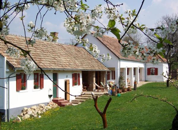 Pear Cottage In Western Hungary - Veszprém