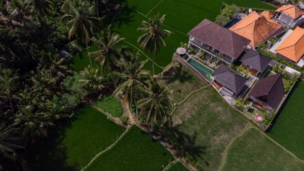 15% Off| Enchanting Jungle View Retreat In Ubud - Gianyar