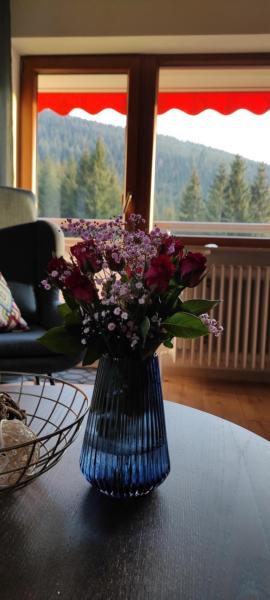 Ferienwohnung Tannenballett Im Schwarzwald - Baiersbronn