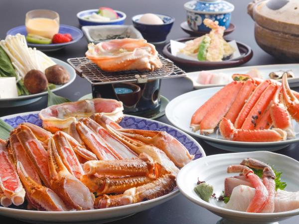 Seikiro Ryokan Historical Museum Hotel - Maizuru