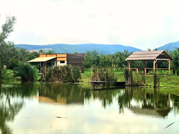 Honey Tiny Home - Roumanie