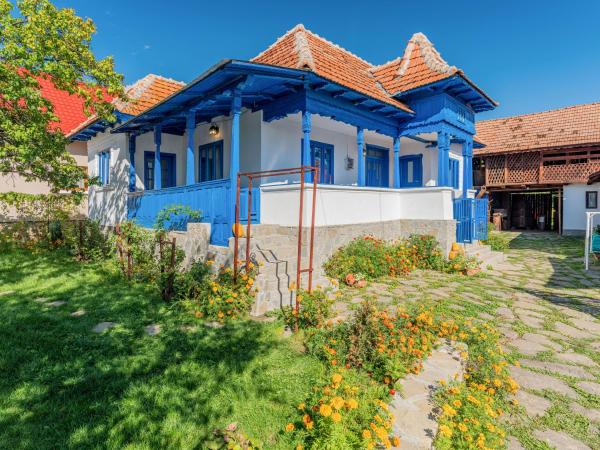 Casa De Vacanta Traditionala Romaneasca - Aluniș