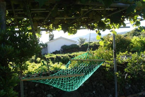 Silveira's Home - Pico