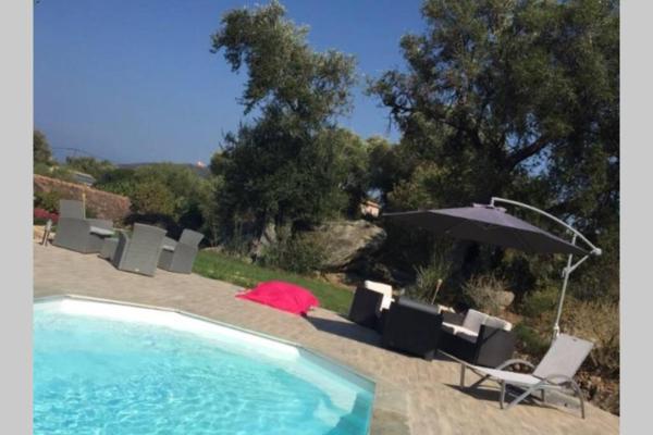 Villa Luxe Bord De Mer Avec Piscine Et Grand Jardin - Algajola