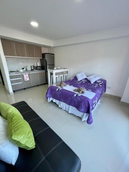 Alvere Lll Temporary Apartments Ushuaia - 우수아이아
