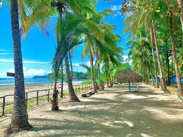 Hotel Oasis & Surf Camp - Panama