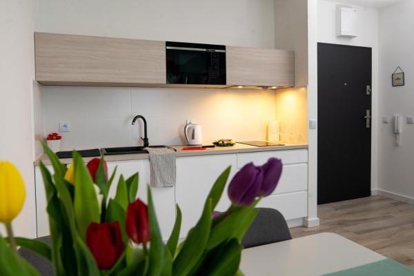 Baltica Apartament Przy Samej Plaży - Rewal