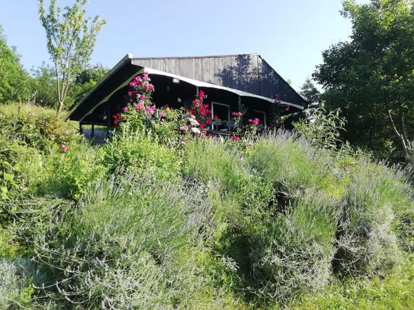 Baranja Black Hill's - Kroatien