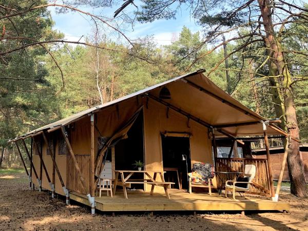 Camp Bursztynowy Las - Poland