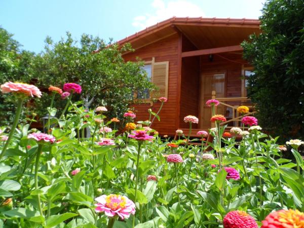 Ugur Pansiyon Bungalows - 튀르키예