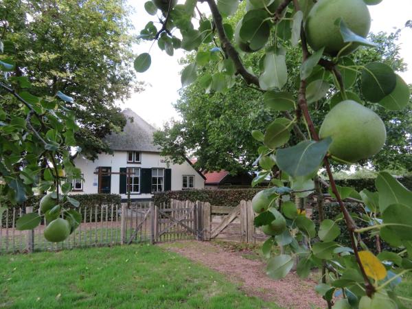 B&b De Willemshoeve - Lunteren