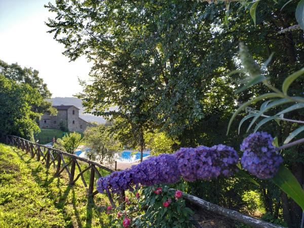 Selvadonica - Toscane