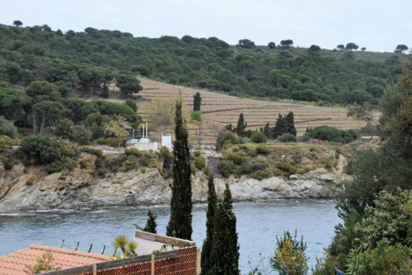 T3 Familial Avec Accès Direct à La Plage. - Collioure