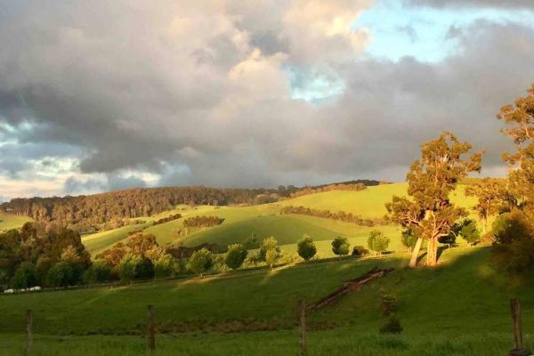 A Bed & A Red @ Berry’s Creek - Leongatha