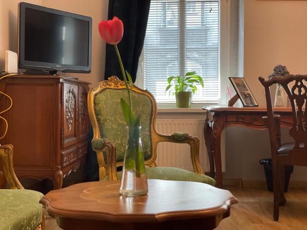 Apartment Silesian Stadium And Park - Katowice