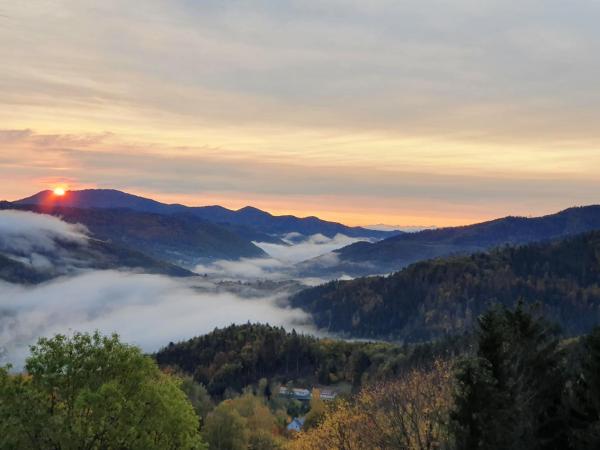 The View Fellering - Haut-Rhin