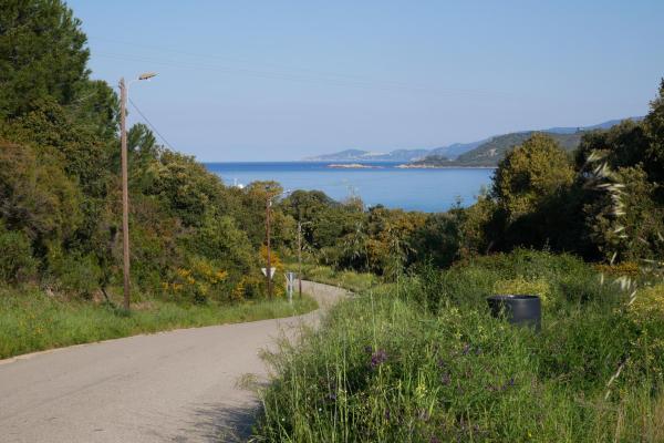 Narval Blanc - Tiuccia