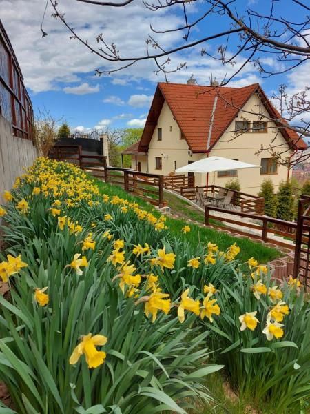Apartament Matei - Brașov