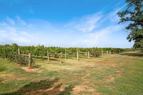 Milawa Vineyard Views - Guesthouse 2 - Moyhu