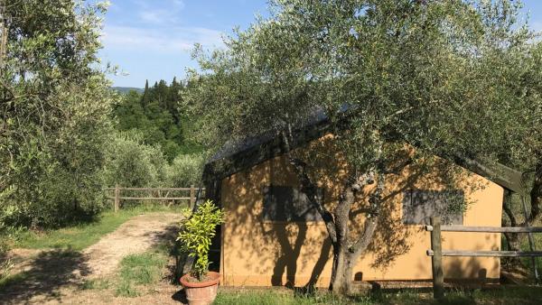 Safaritent Glamping Agricamping Romita - Tuscany