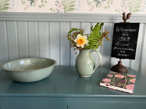 B&b Bland Ormbunkar Och Rosor - Falkenberg