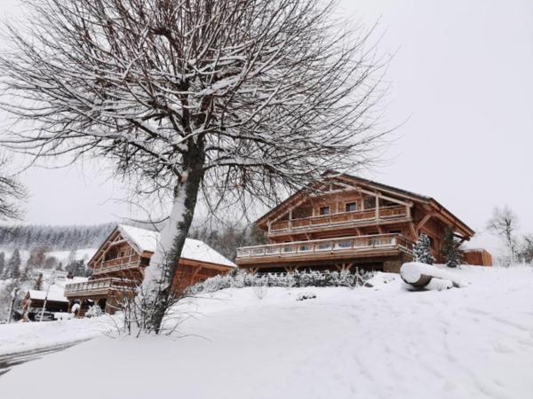 Chalet De Lucie, Champ Du Feu, Luxe, 5 éToiles, 5 Ch. 14 Personnes - Black Forest