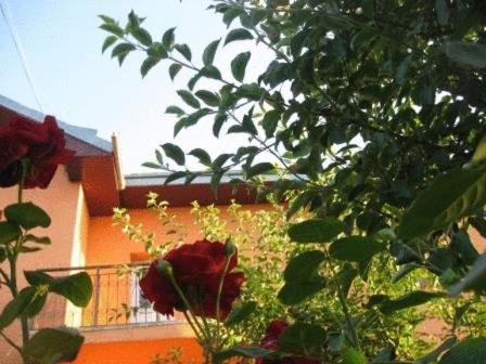 Lary Hostel - Romania