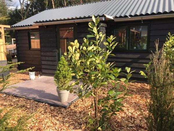 Veluwse Bossuite - Wageningen