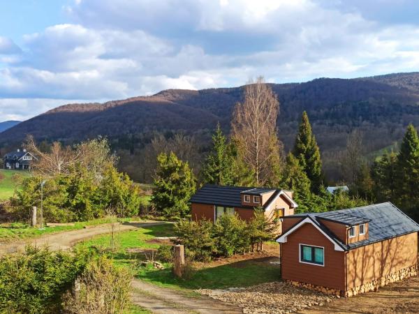 Wetlina 21 - Wetlina