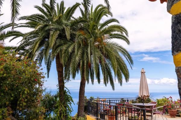 El Palmeral - La Palma