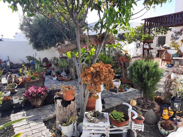 Apartamento Tranquilo - Playa Blanca