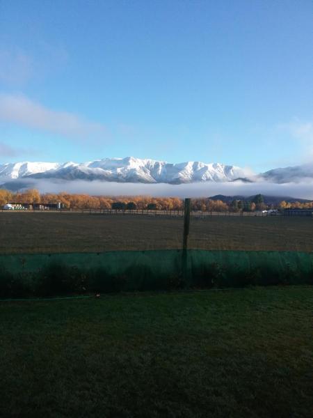 Best View On Westview - West Coast