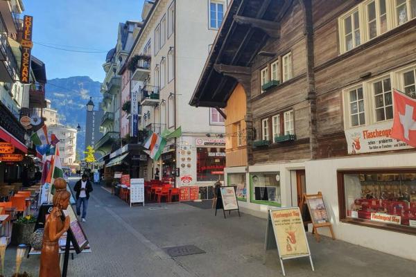 Classy Apartment - Interlaken