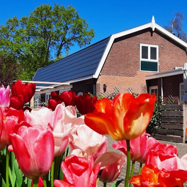 B&b De Hoffstal - Noordwijkerhout