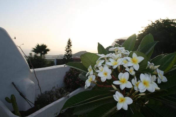Finca-las Mariposas 2 - Canarische Eilanden