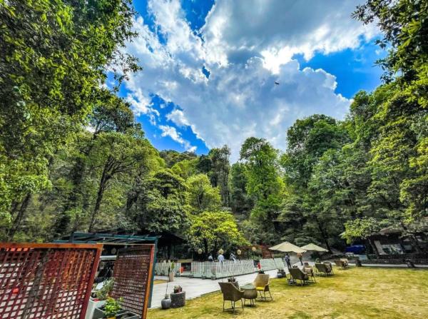 Ayar Jungle Resort - Nainital