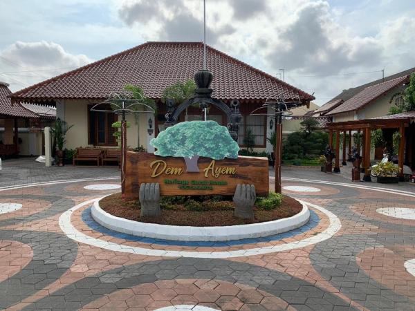 Dem Ayem Heritage Guest House - Mali