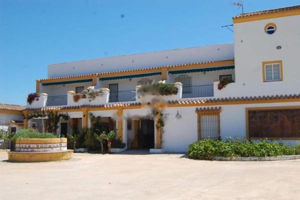 Finca La Tacita - Rosal - Conil de la Frontera