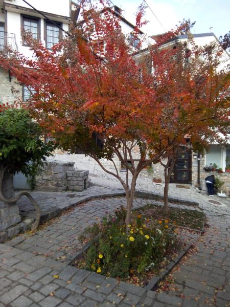 Guest Room In The Old Town - Lake Ohrid