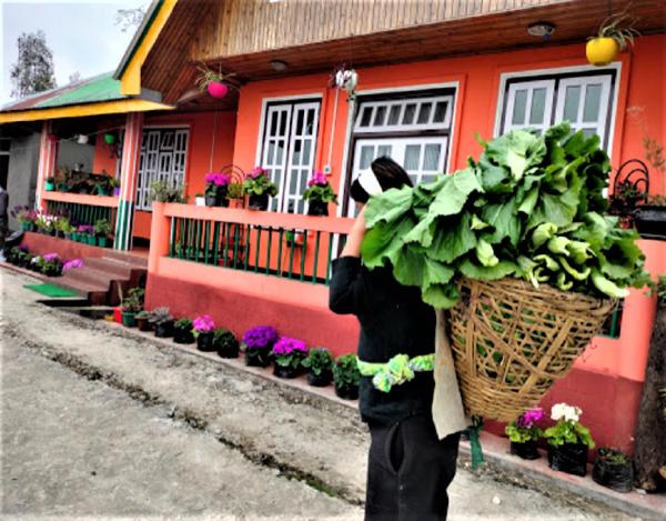 Temi Sarika Homestay - Namchi