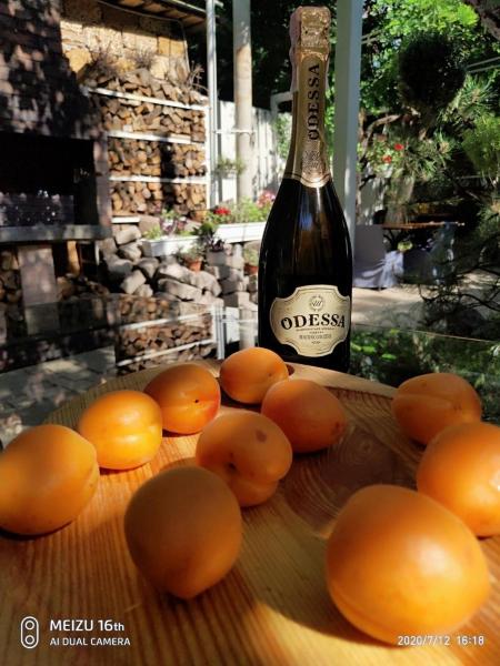 Апартаменты в гостевом доме - Odessa